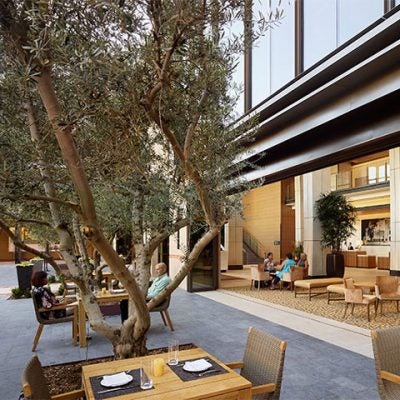 Explore Photo Gallery - Plateia Restaurant in West L.A.